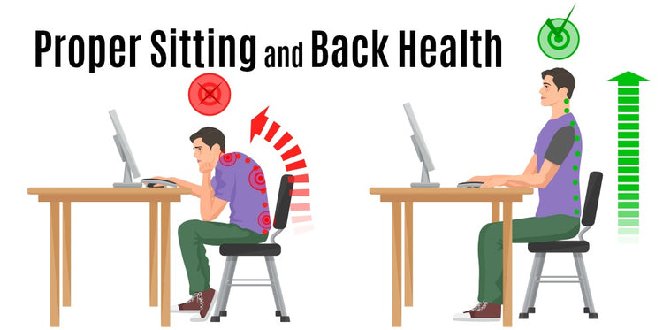 How to Sit Properly – Ergo Impact